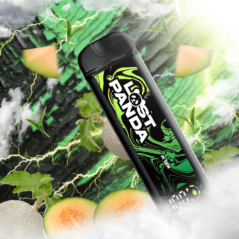 LOST PANDA - A PREMIUM DISPOSABLE VAPE – Go Lost Panda
